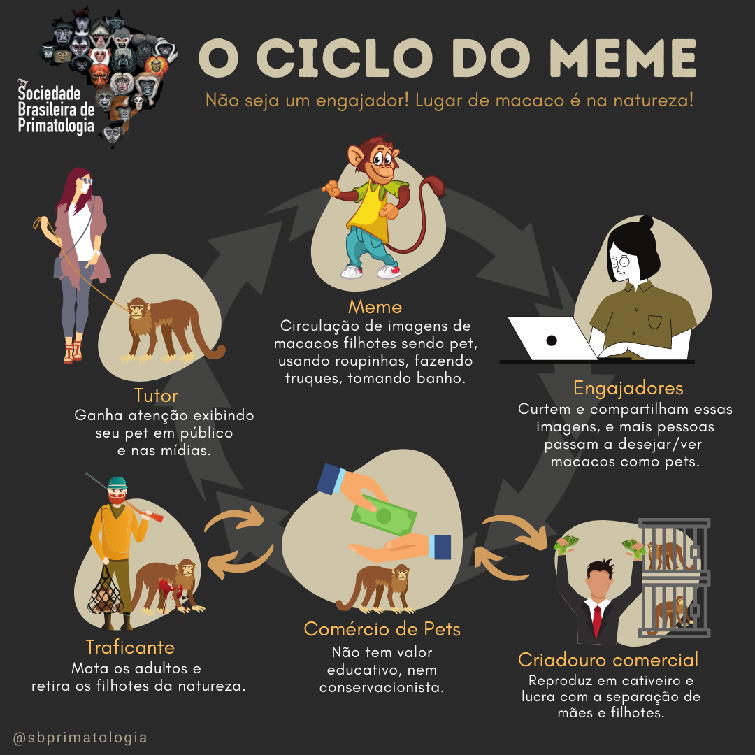 Divulgação e Educação - Sociedade Brasileira de Primatologia